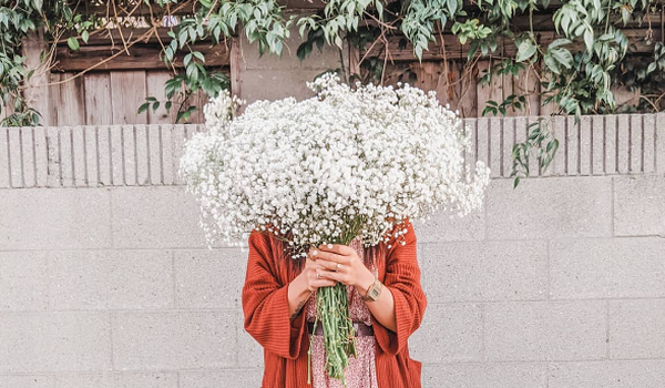 Gipsofila predivno je cvijeće koje će uljepšati svaki buket, a odličan ...